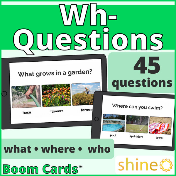 Wh- Questions with Real Photos – Shine Speech Activities