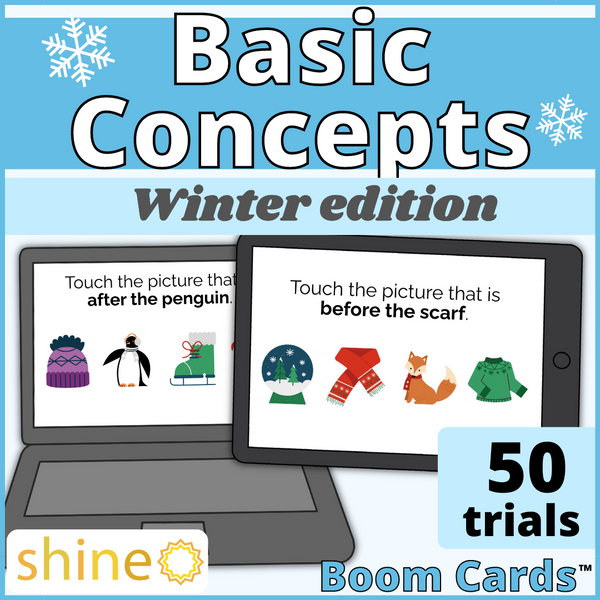 Winter Basic Concepts – Shine Speech Activities