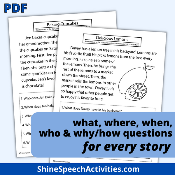 BUNDLE Wh- Questions & Short Stories – Shine Speech Activities