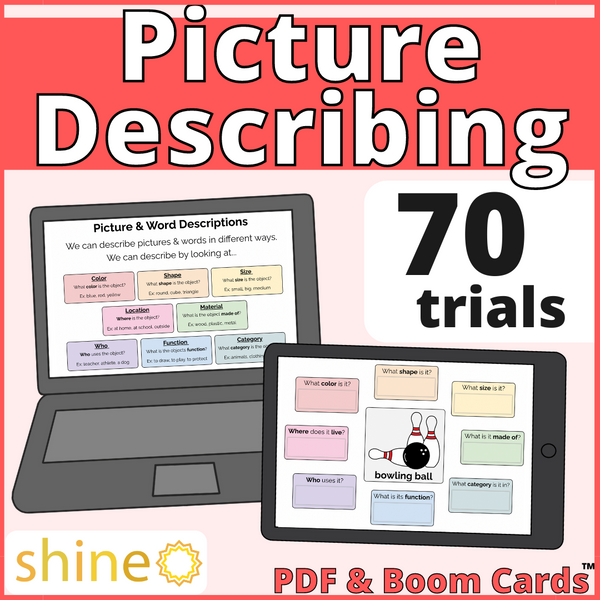 Picture & Word Describing Webs – Shine Speech Activities